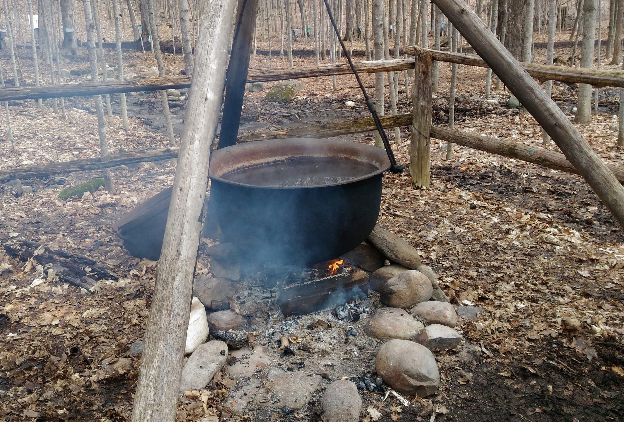 Maple Syrup Fun in Eastern Ontario - Jess Foley - Writer