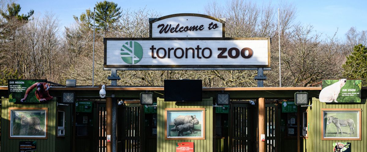 Toronto Zoo educates visitors on responsible plastic use with new ...